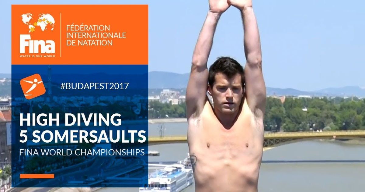Steve Lobue's Gold with 5 Somersaults | Budapest 2017 | FINA World ...