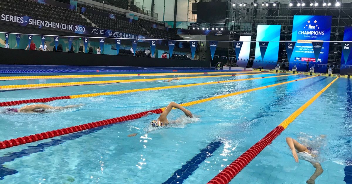 PR 1 - CSS 2020: Swimming stars ready to shine in Shenzhen (CHN)