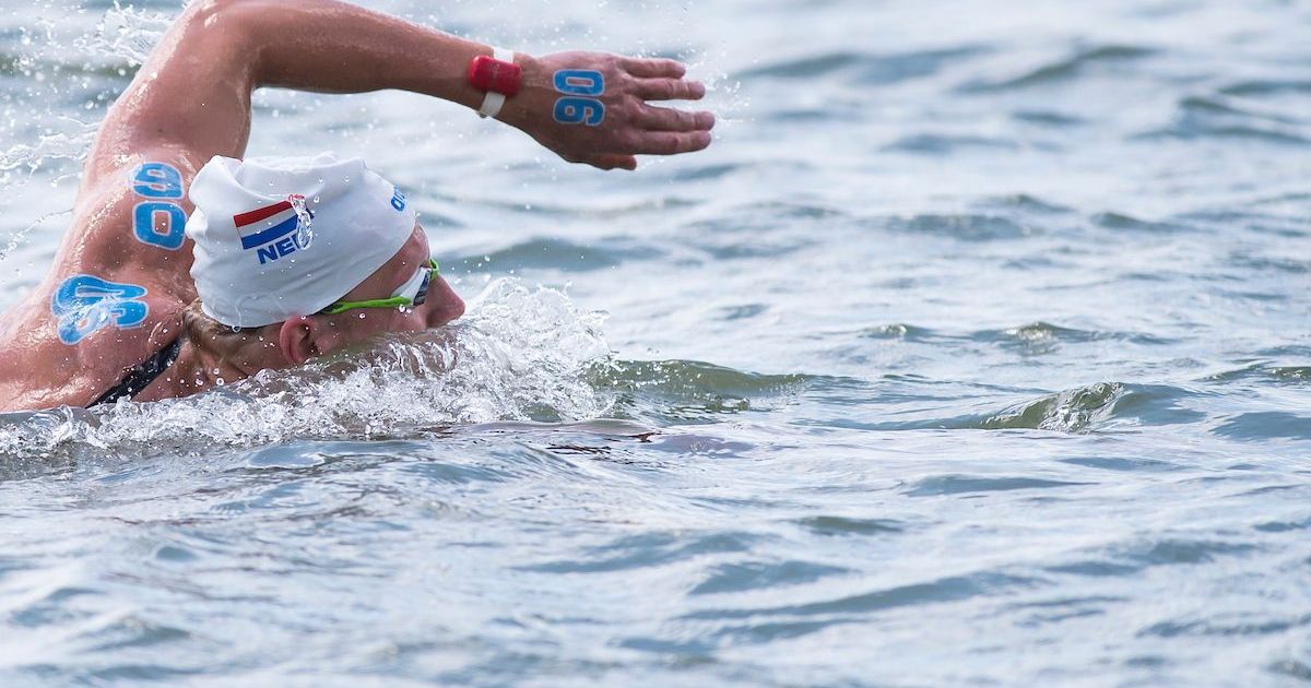 Tough races ecpected at the third Marathon Swimming World Cup stop
