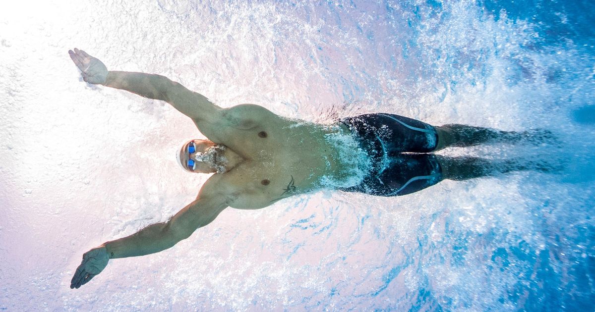 'Le beast' triumphs in unfamiliar waters