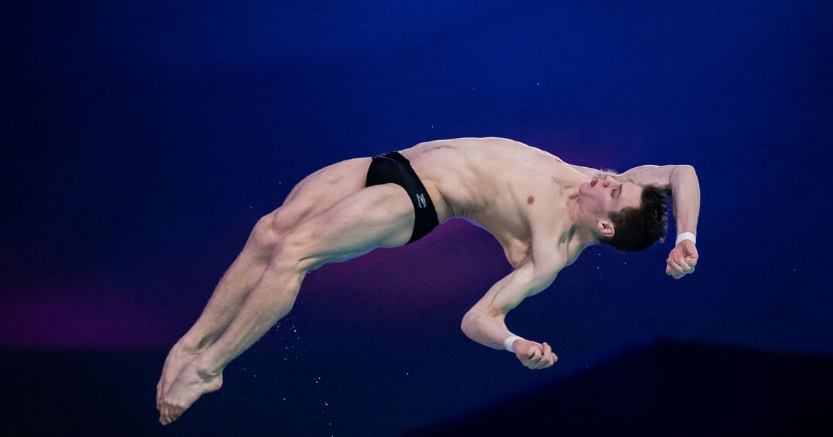 FINA Diving Team Exhibition - United Arab Emirates | World Aquatics ...