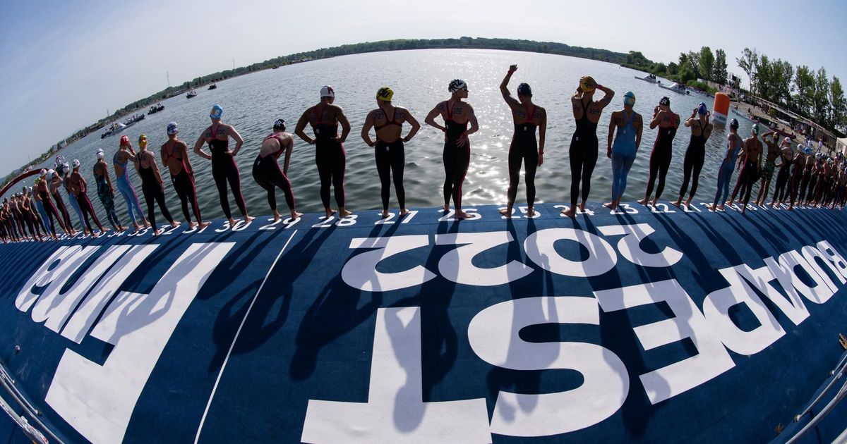 How the world's best open water swimmers prepare for the 10K on race day