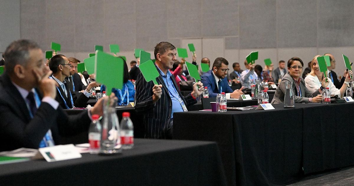 FINA consolidates reforms at the FINA Extraordinary General Congress ...