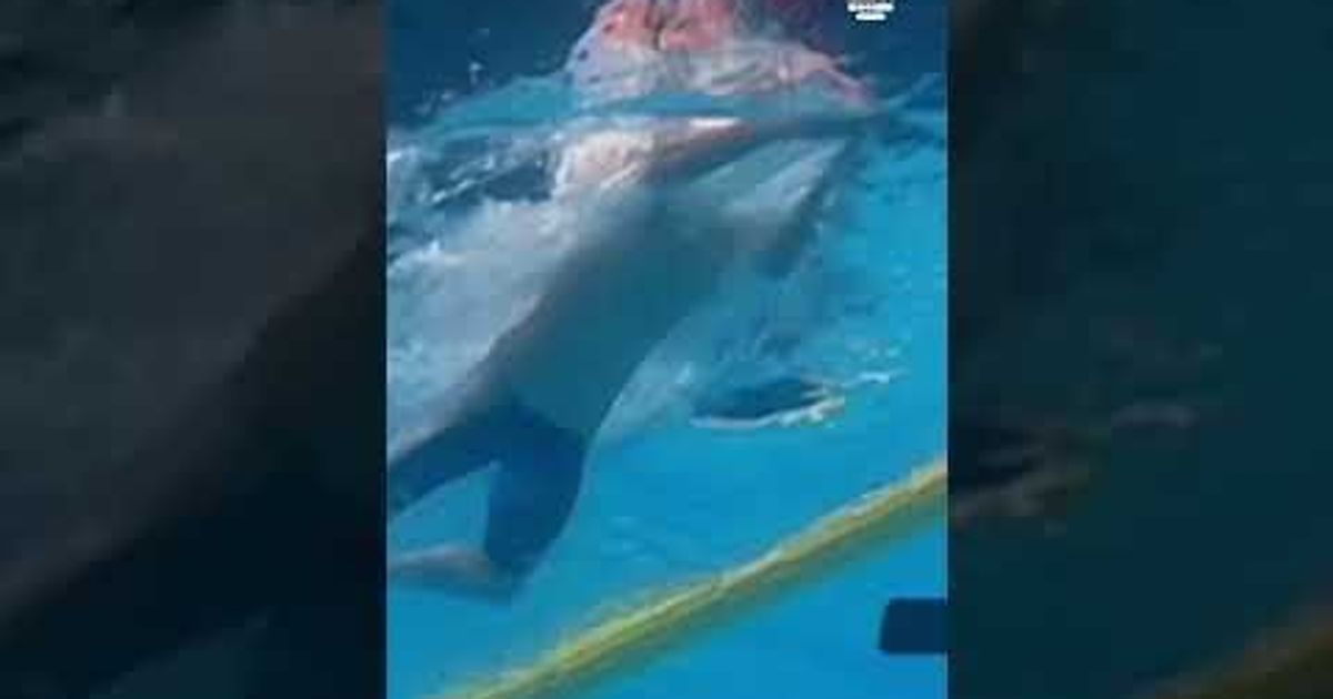 The moment made waves of inspiration. Melbourne 2007, Michael Phelps ...