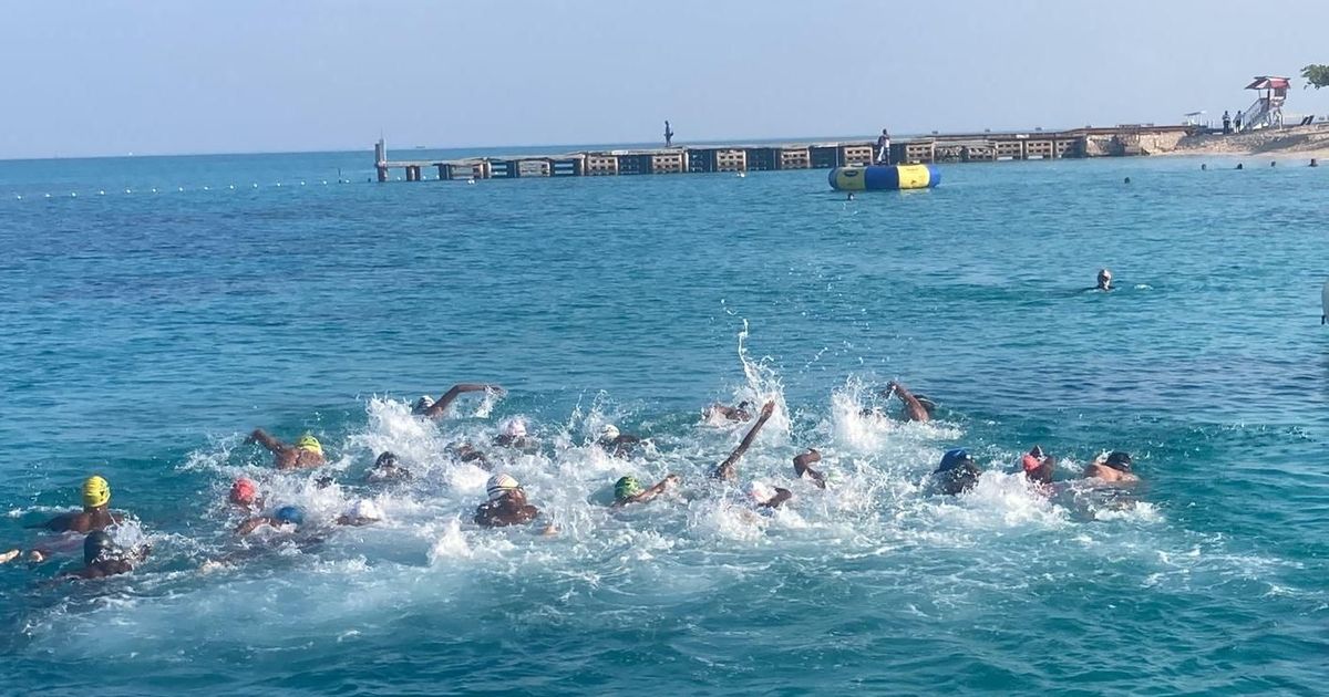 Swim stars Alia Atkinson and Patrick Groters teach learn to swim ...