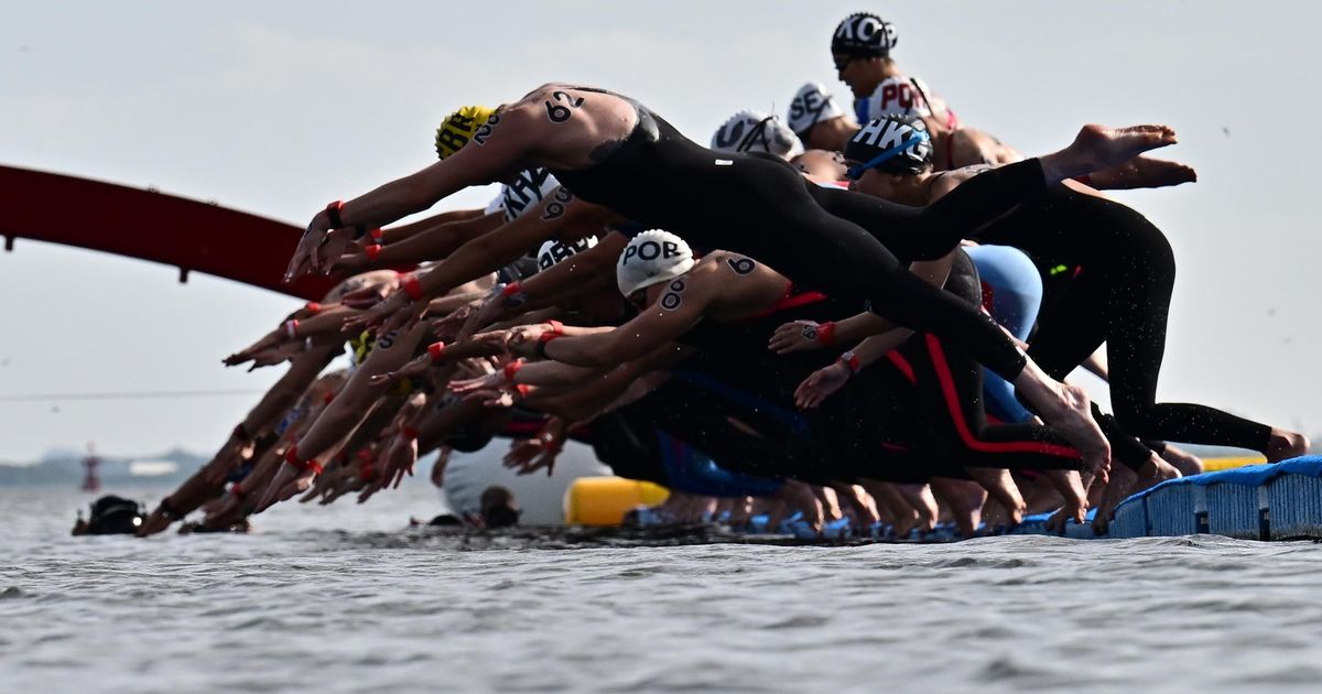 Open Water Competition Stats & Facts | Key figures for the open water ...