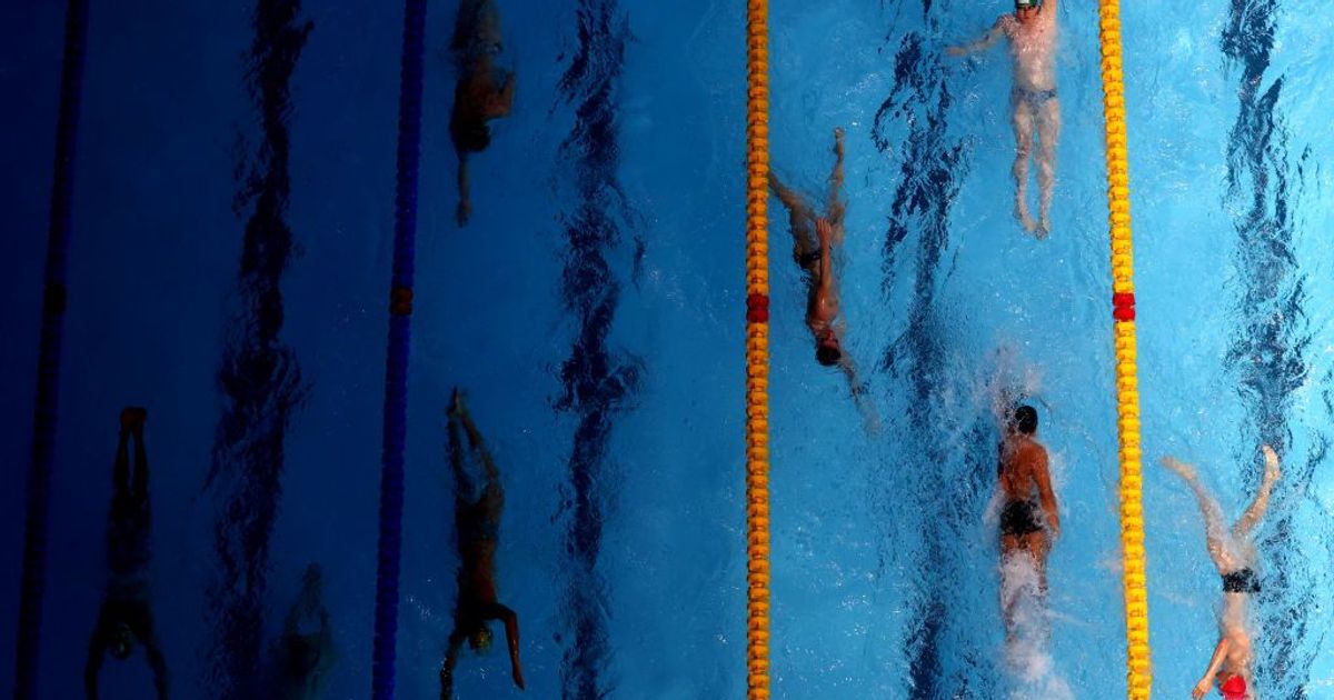 Shape the future of aquatics with the 2023-2024 World Aquatics-Myrtha ...