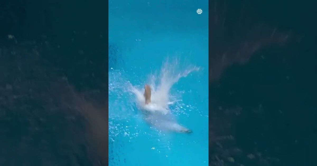 Stunning Entry By Diver Ingrid Oliveira #diver #IngridOliveira #diving ...