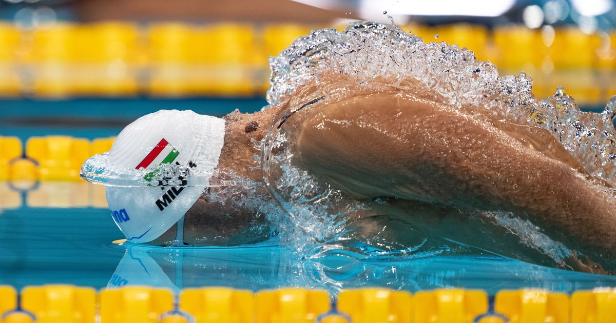 Countdown to the 2024 World Aquatics Swimming Championships (25m): 50 ...