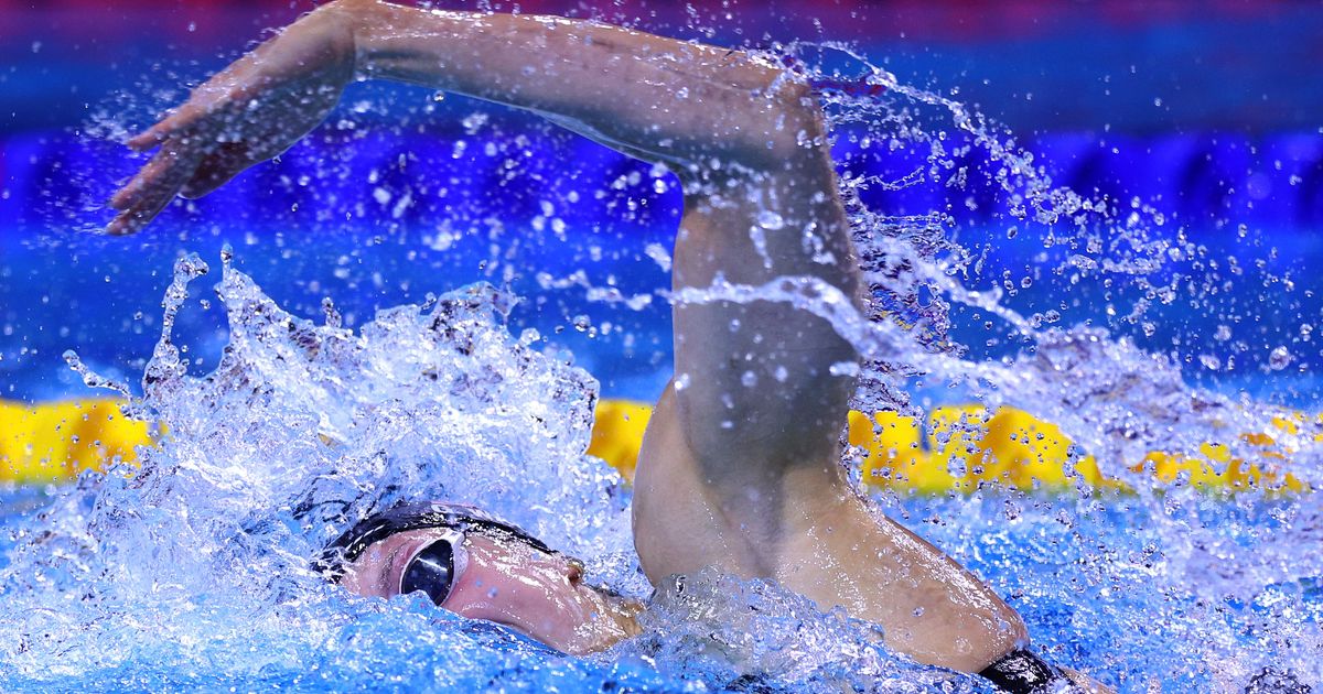 2024 World Swimming Championship (25m) Sports Results Report highlights ...