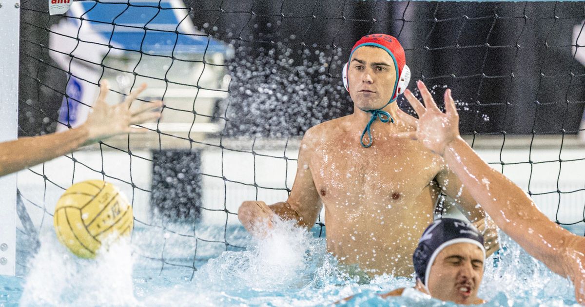Aussie Sharks secure World Championship Oceania qualification