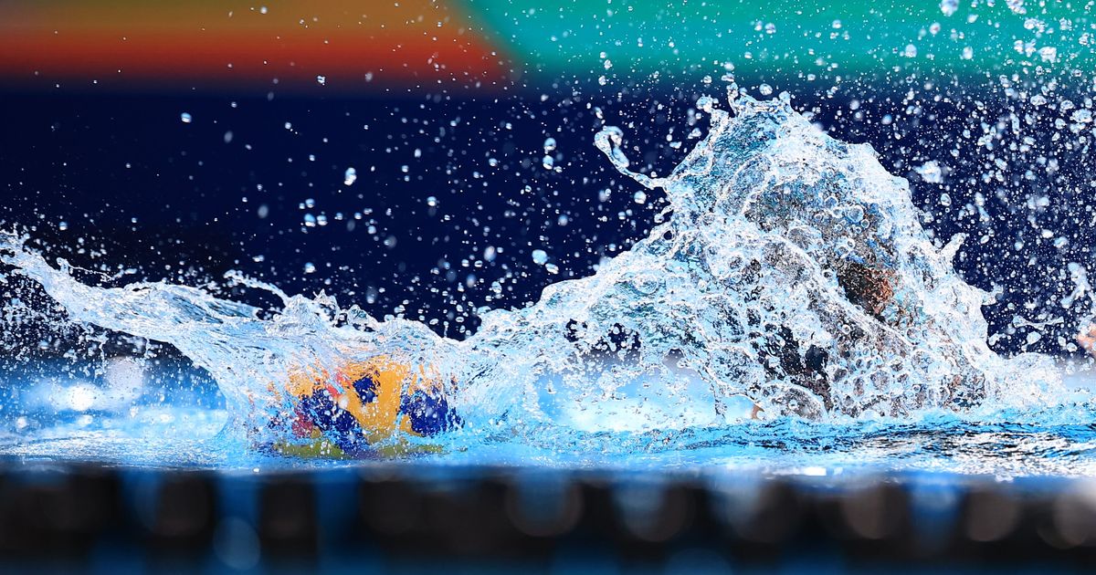 Competition Schedule | World Aquatics Official
