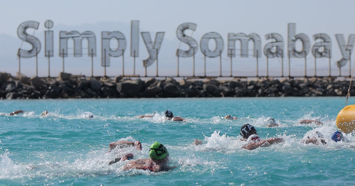 Open water swimming stars lead season opener in Somabay