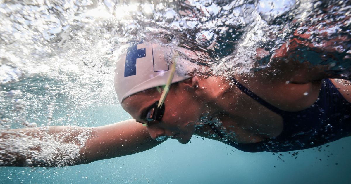 Science Supports Safety: New research reinforces 16°C threshold for ...